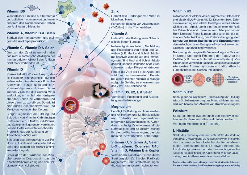 orthosyn IMMUN - der Booster für Ihr Immunsystem